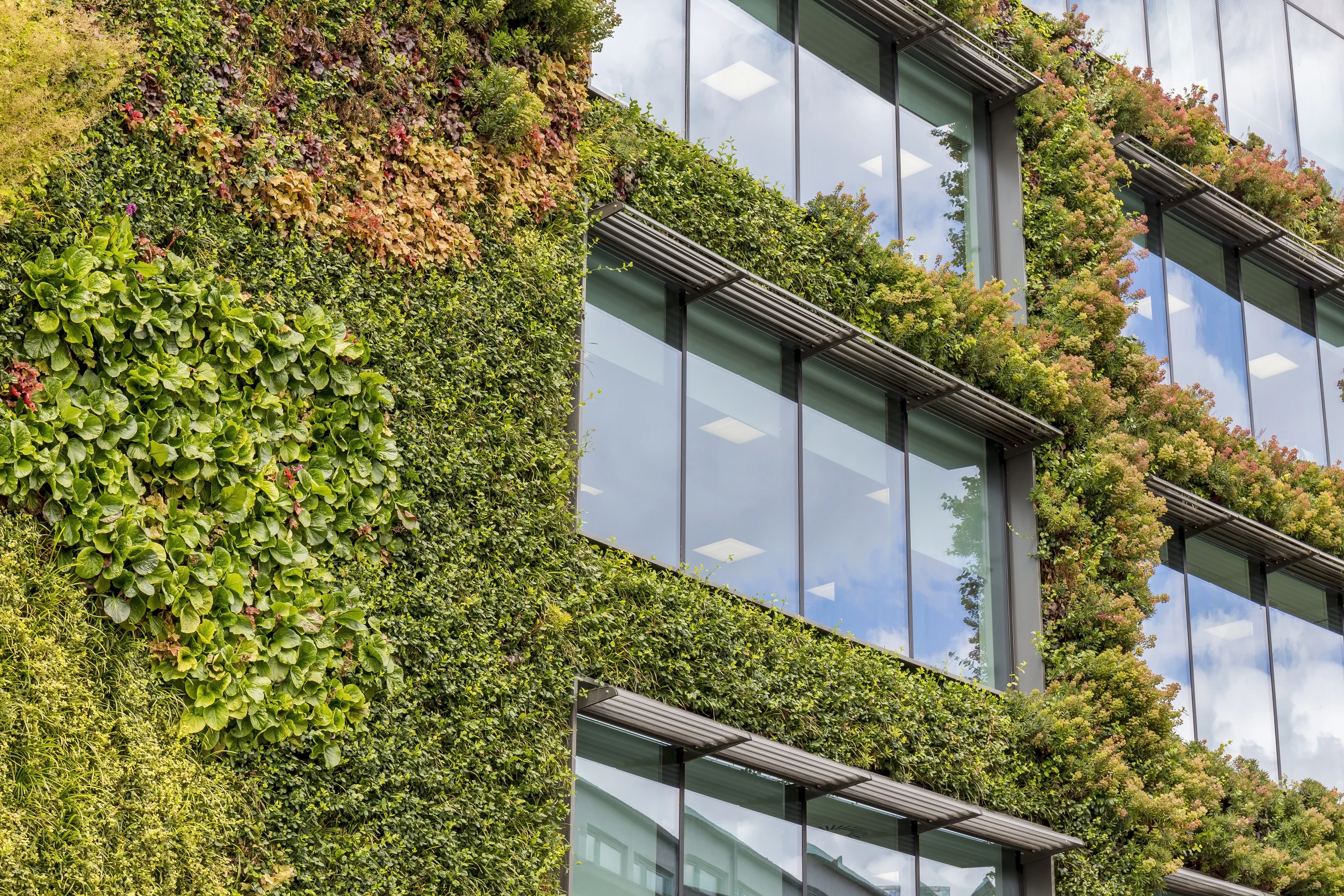 Sustainable Commercial Architecture | Coverite Projects